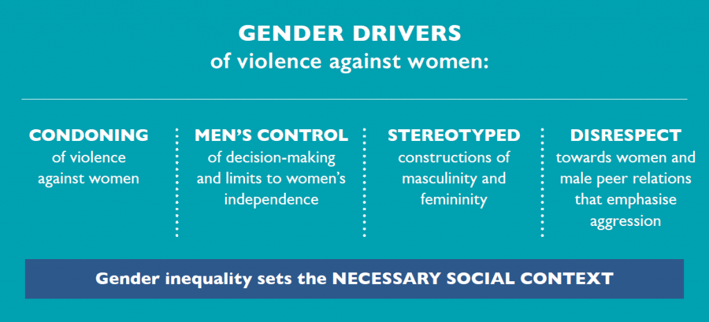 Womens Health In The North About Primary Prevention